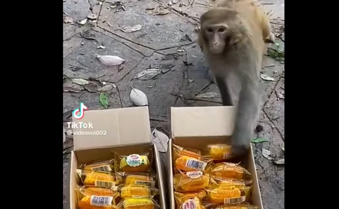 Bedient euch - Video auf bildschirmarbeiter.com