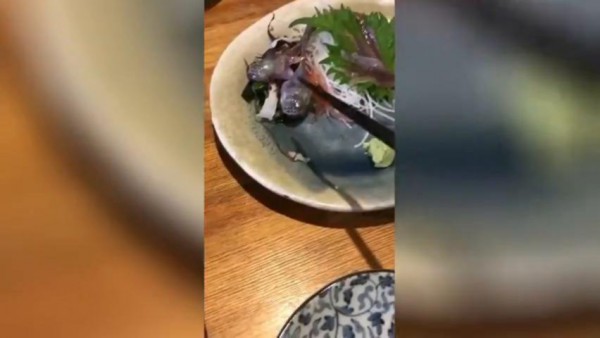 Frischer Fisch - Video auf bildschirmarbeiter.com