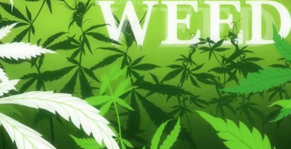 History of Weed - Video auf bildschirmarbeiter.com