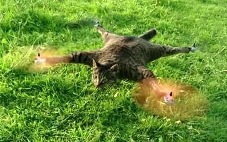 Catcopter - Video auf bildschirmarbeiter.com