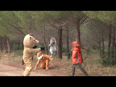 Fox vs. Hunter (Rémi Gaillard) - Video auf bildschirmarbeiter.com