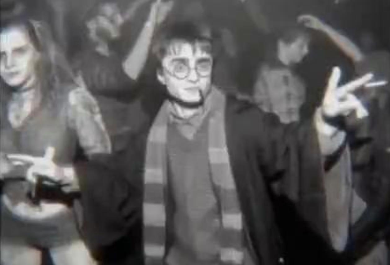 Harry Potter und die Rave - Party - Video auf bildschirmarbeiter.com