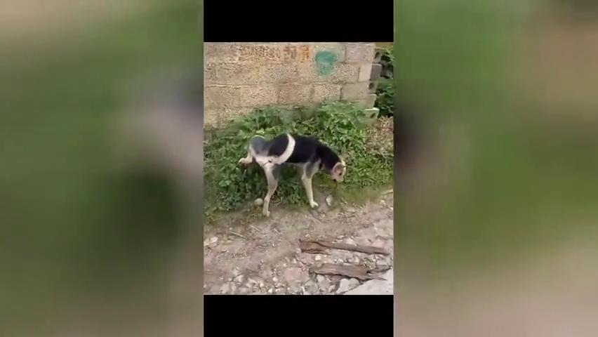 Pinkelpause - Video auf bildschirmarbeiter.com